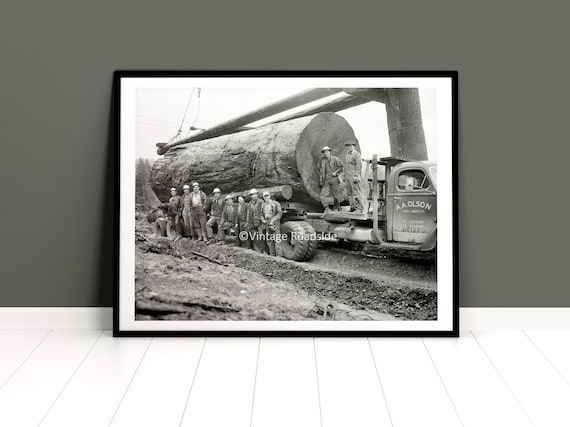 Pacific Northwest Logging Railroads