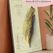 Geological Rock Structures Chart | Illustrated Guide to Rock Formations ...