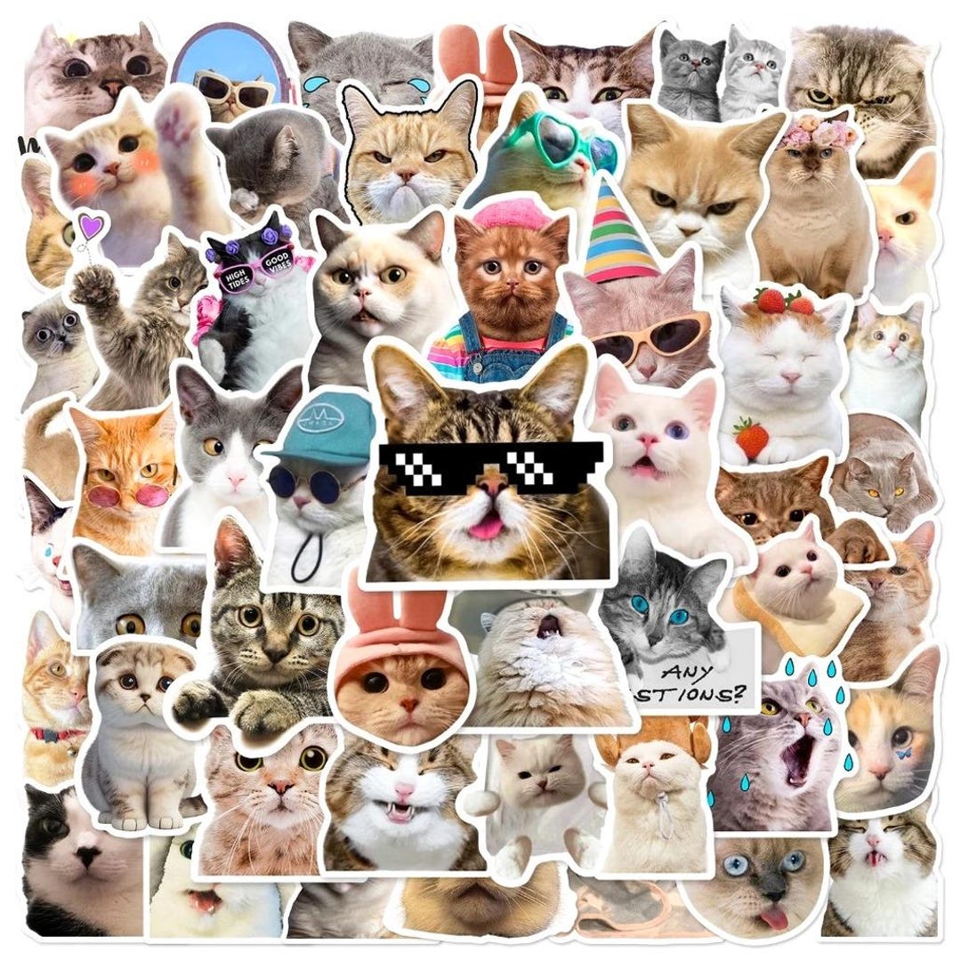 Funny Cat Meme Sticker Pack (50pcs) | Waterproof Vinyl Stickers for ...