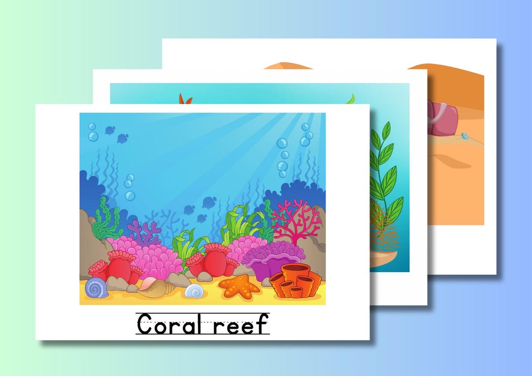 Summer Beach Vocabulary Flashcards - PDF - Etsy