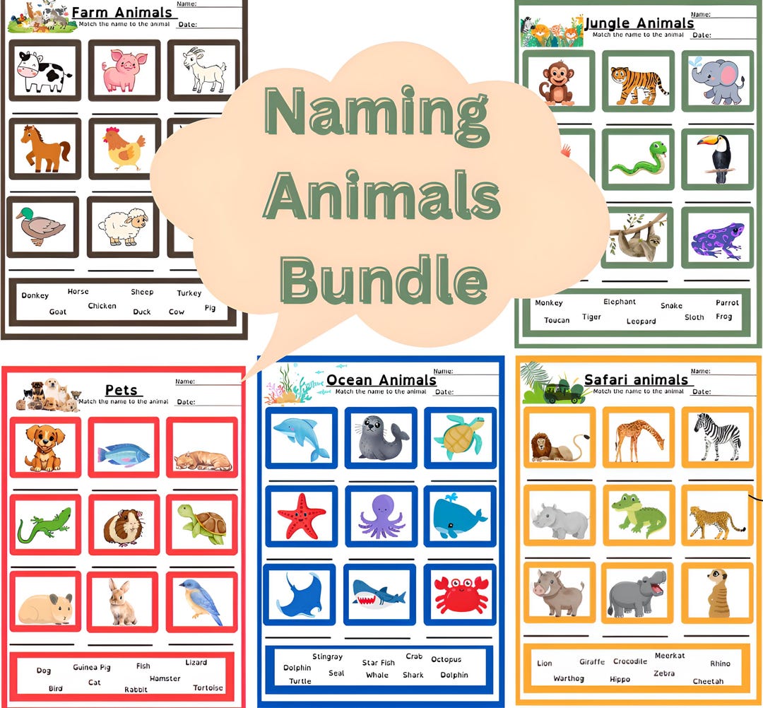 Animals Worksheet Pack | Kindergarten Naming Animals + Free Coloring ...