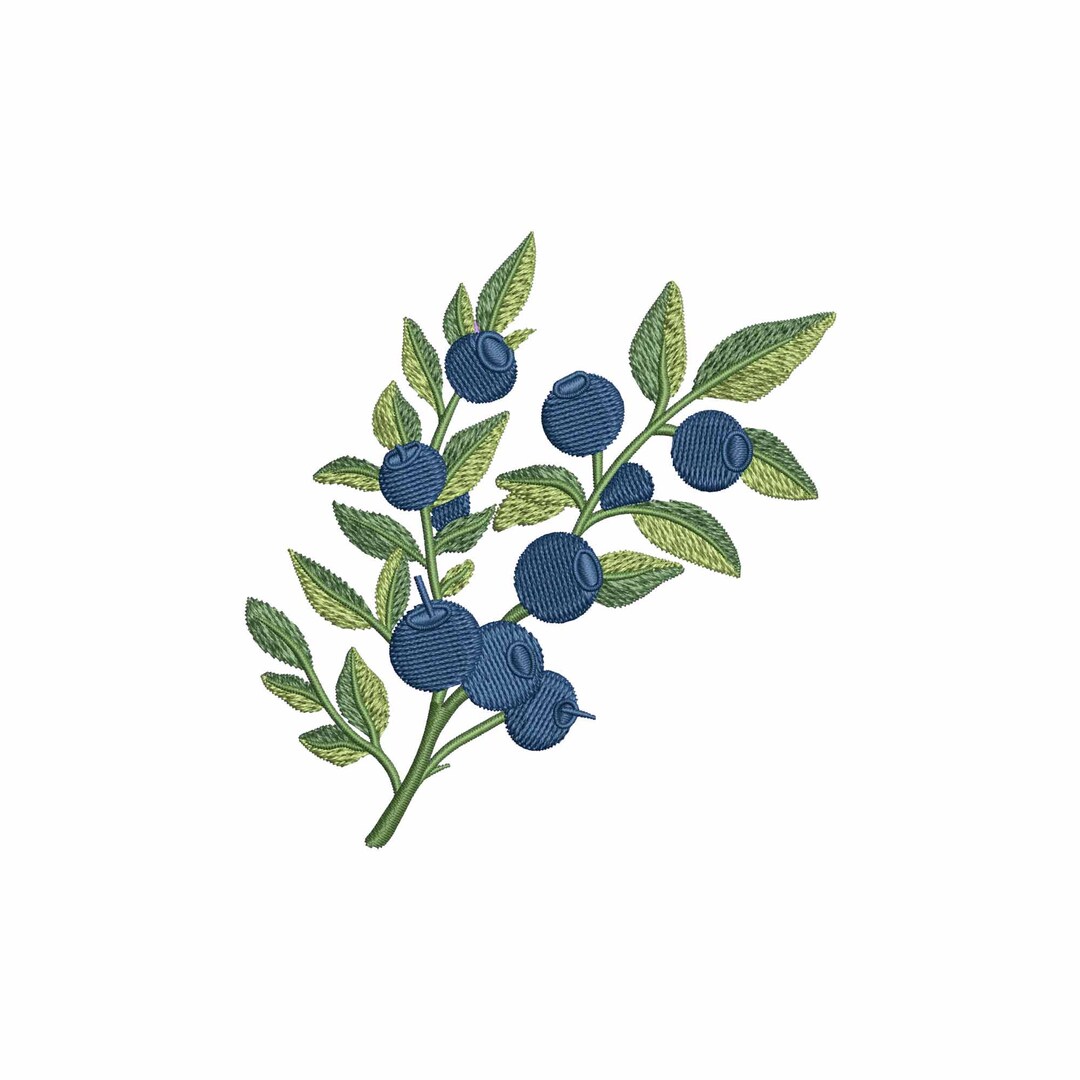 Blueberry Embroidery Design, Machine Embroidery Designs, Embroidery ...