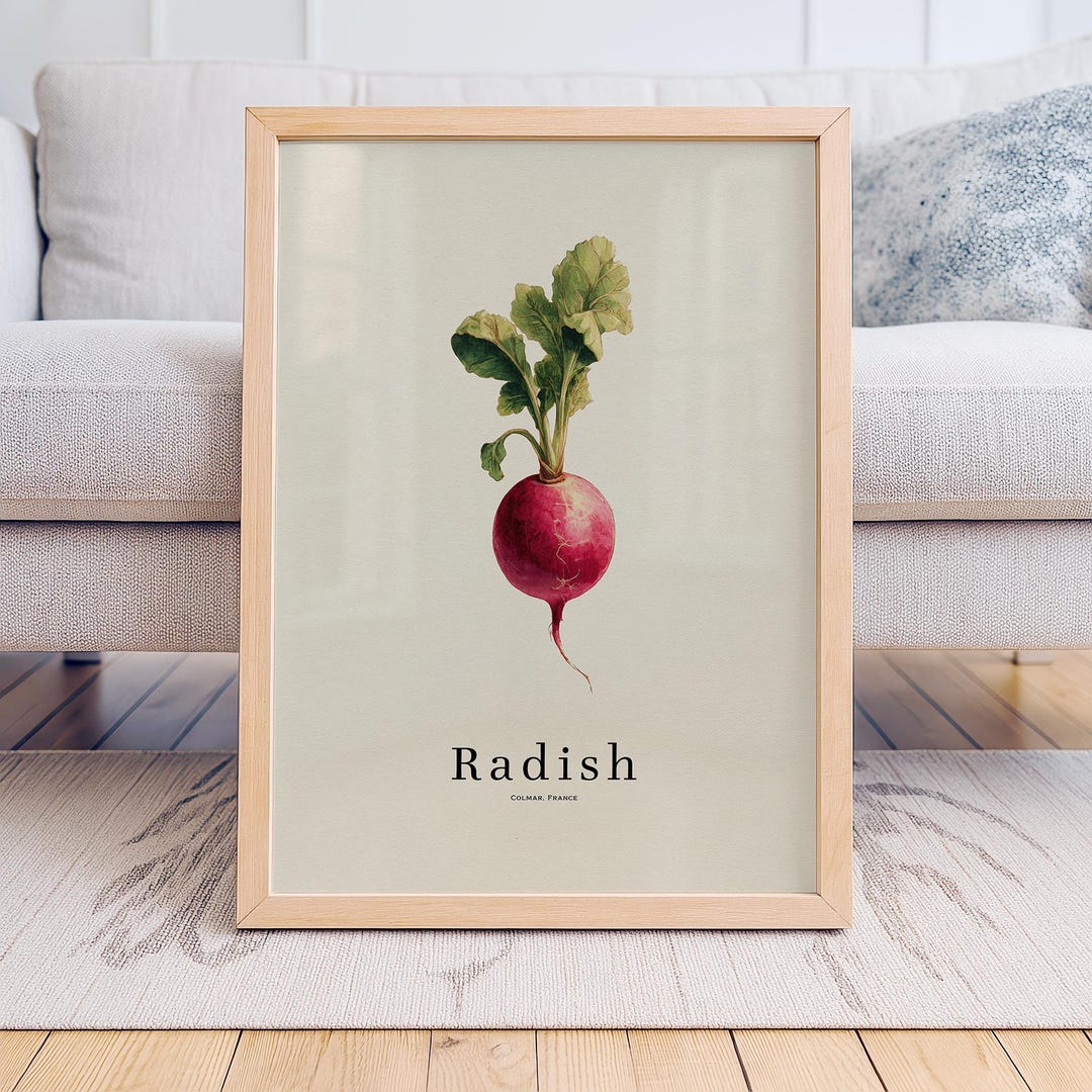 Radish Print Kitchen Decor, French Vegetable Wall Art, Botanical Radish ...