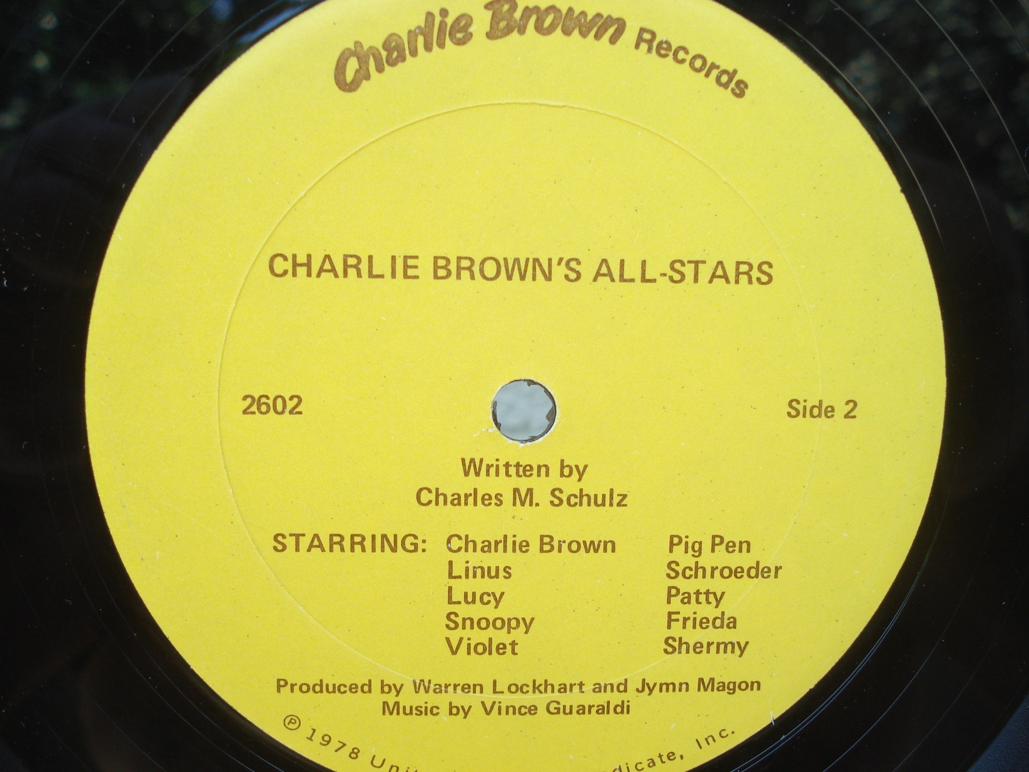 Vintage Vinyl Charlie Brown All Stars Charles Shultz Peanuts - Etsy UK
