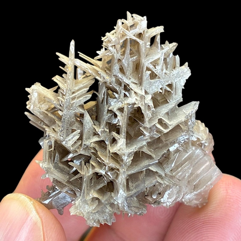 Natural Snowflake Cerussite Crystal Cluster on Matrix, Rare Mineral ...