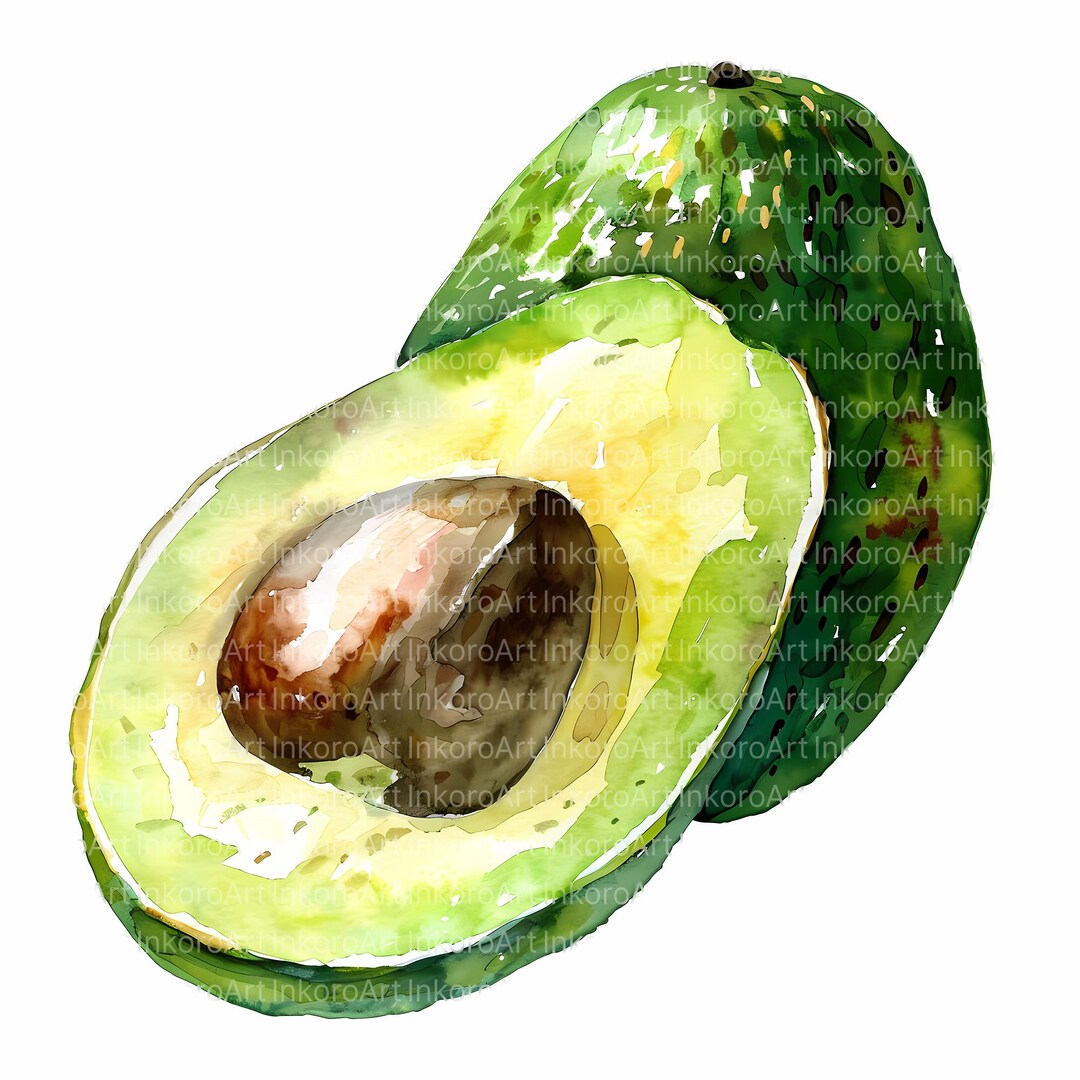 Watercolor Avocado Clipart | Halved Fruit Art (digital Download) - Etsy