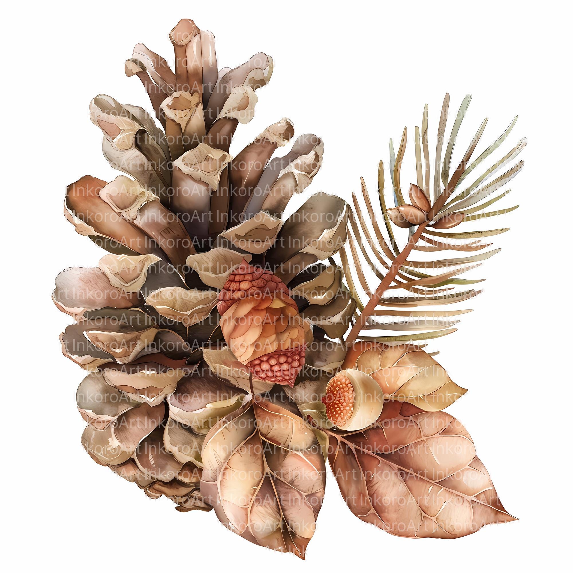 Watercolor Pinecone Clipart | Autumn Oak Leaves & Acorns (digital ...