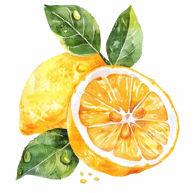 Watercolor Lemon Clipart | Sliced Lemon Art, Juicy Fruit (digital ...