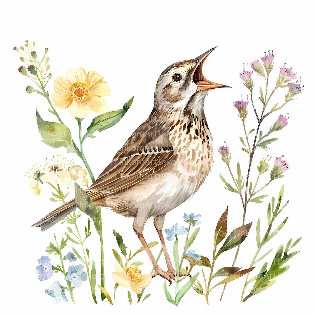 12 Lark Clipart | Watercolor Singing Forest Lark With Open Beak ...