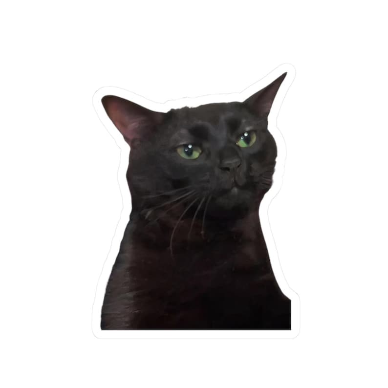 Zoned Out Black Cat Meme Kiss-cut Stickers - Perfect for Cat Lovers ...