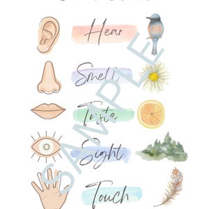 5 Senses Educational Poster – Printable Kids Wall Art for Homeschool or ...