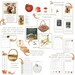 Apple Mini Unit – Digital Download Fall Themed Nature Activity Pack ...