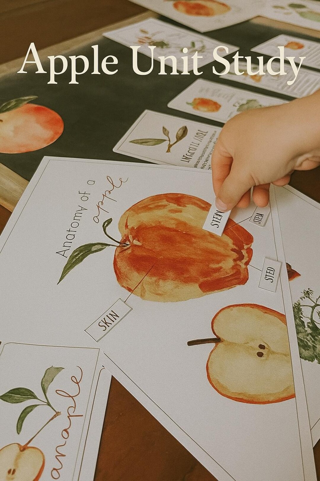 Apple Mini Unit – Digital Download Fall Themed Nature Activity Pack ...