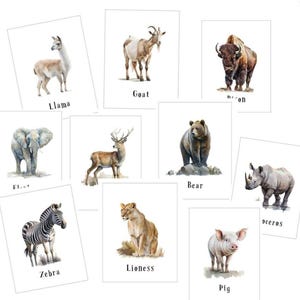 Wild Animal Flashcards for Kids – Educational Printable Cards With ...