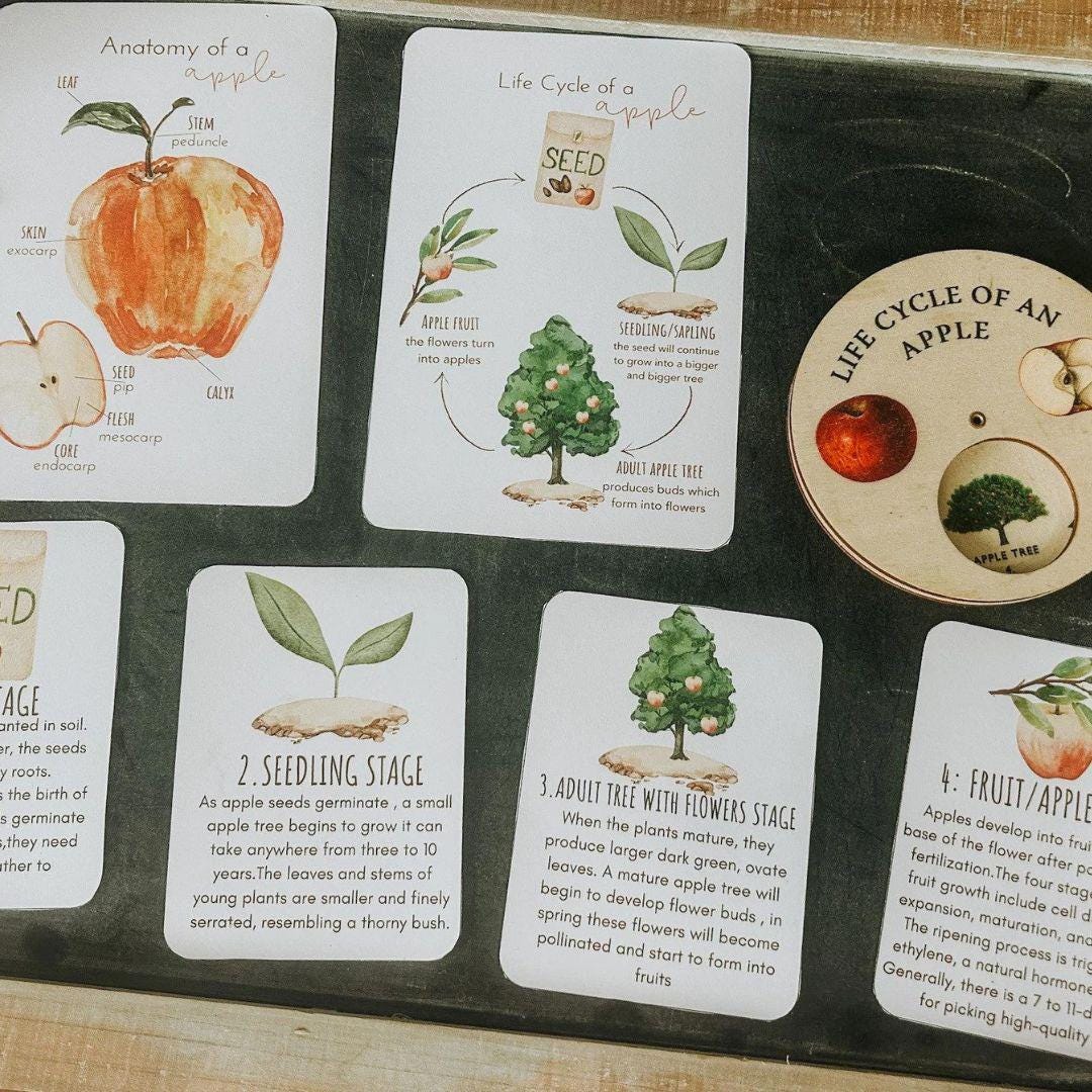 Apple Mini Unit – Digital Download Fall Themed Nature Activity Pack ...