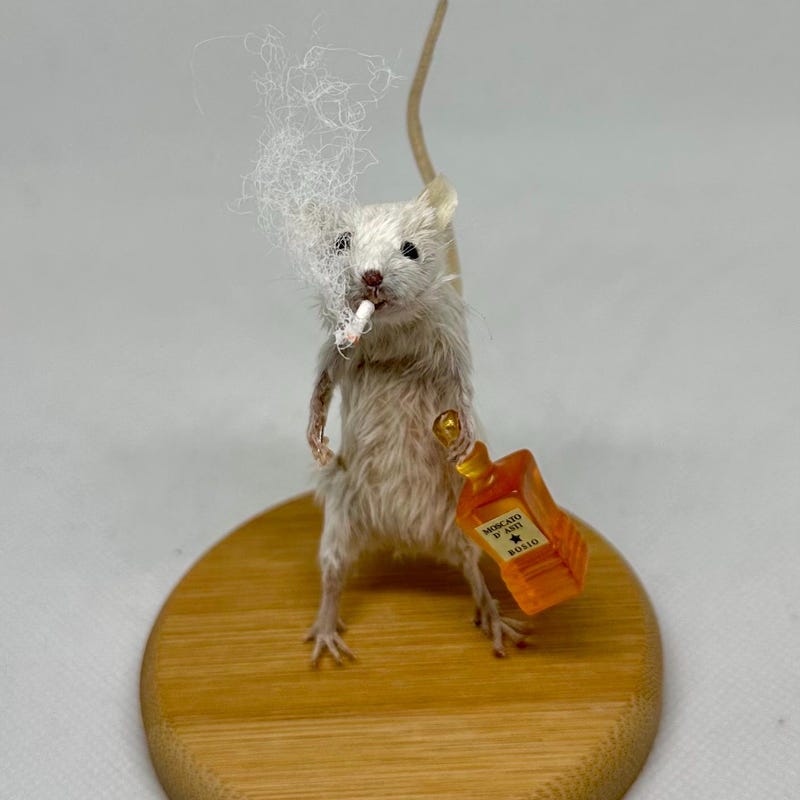 Taxidermy Rat - Etsy