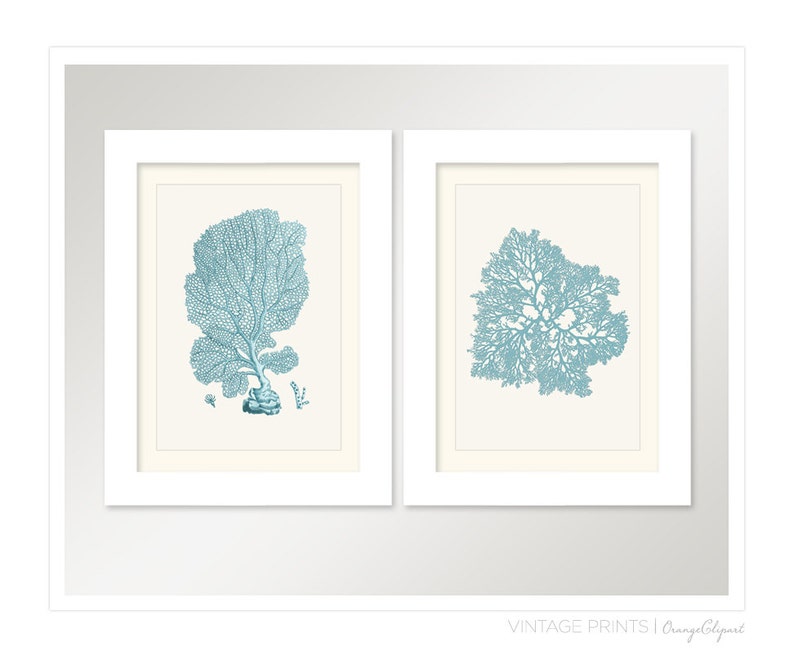 Vintage Sea Fan Coral Print 8x10 P195 - Etsy
