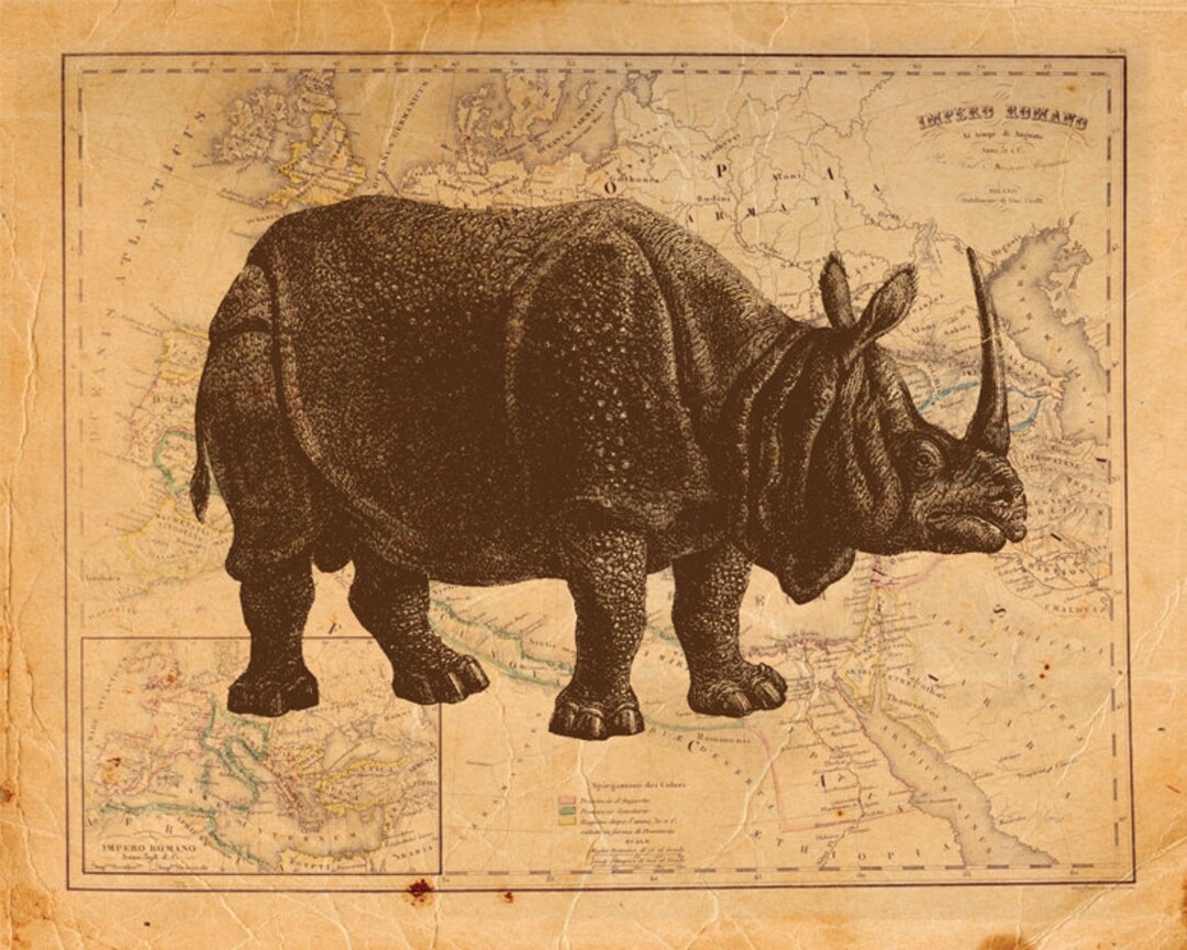 Vintage Rhino on Antique Roman Empire Map Print 8x10 P87 - Etsy