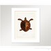 Vintage Turtle on Antique Paper Print 8x10 P231 - Etsy