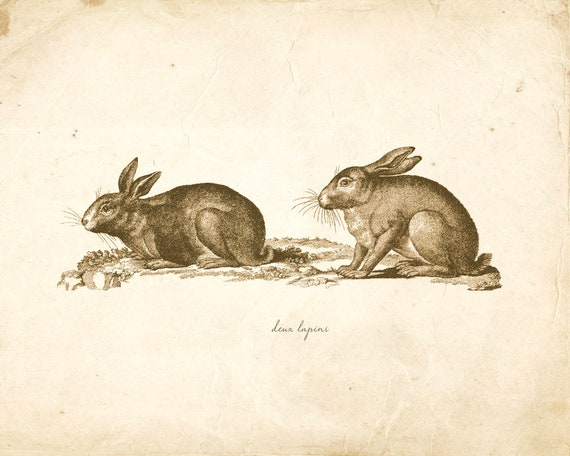 Vintage Rabbits on French Ephemera Print 8x10 P321 - Etsy