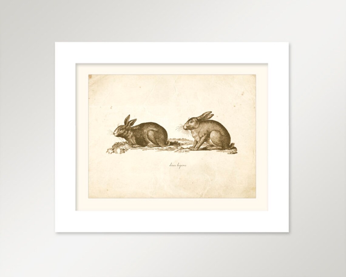 Vintage Rabbits on French Ephemera Print 8x10 P321 - Etsy