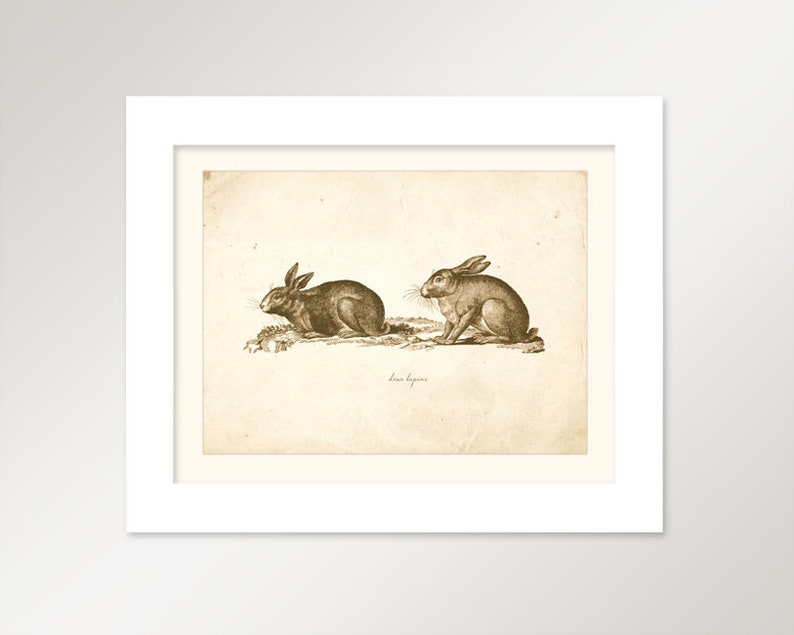 Vintage Rabbits on French Ephemera Print 8x10 P321 - Etsy