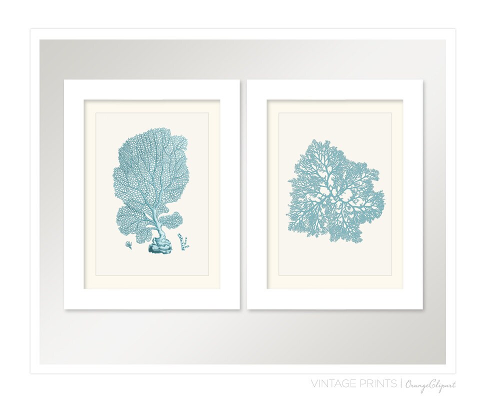 Vintage Ocean Kelp Seaweed Print 8x10 P197 - Etsy