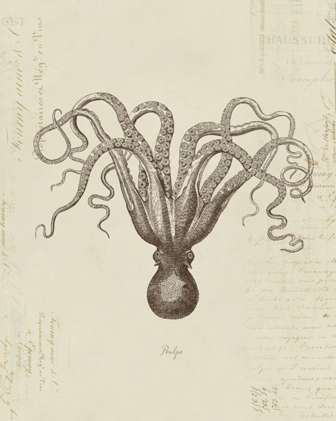 Octopus "poulpe" on French Ephemera Print 8x10 P299 - Etsy