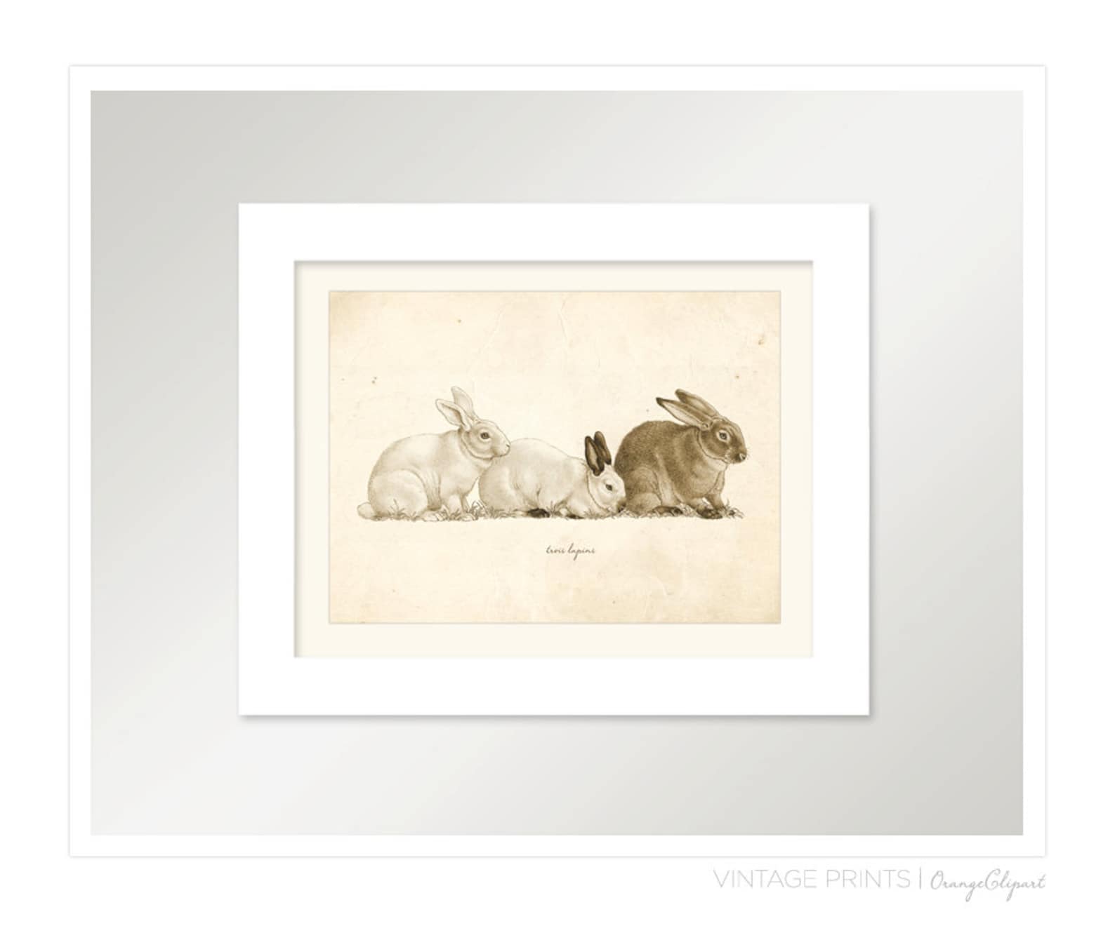 Vintage Rabbits on French Ephemera Print 8x10 P114 | Etsy