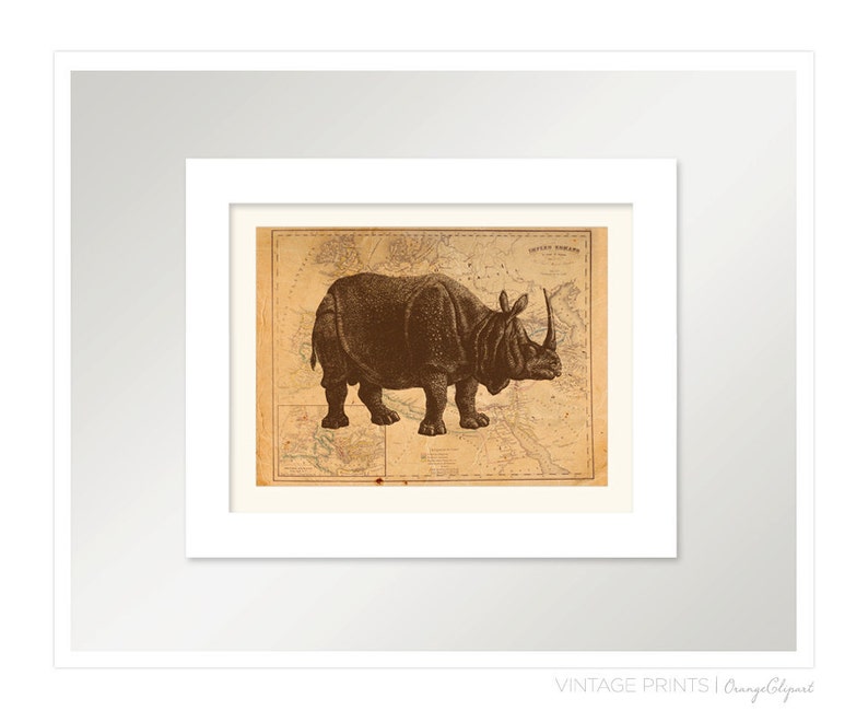 Vintage Rhino on Antique Roman Empire Map Print 8x10 P87 - Etsy