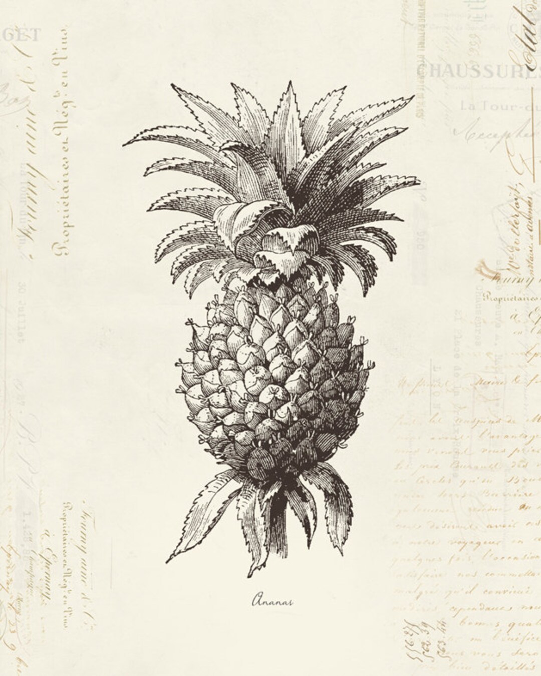 Vintage Pineapple "ananas" on French Ephemera Print 8x10 Vintage ...