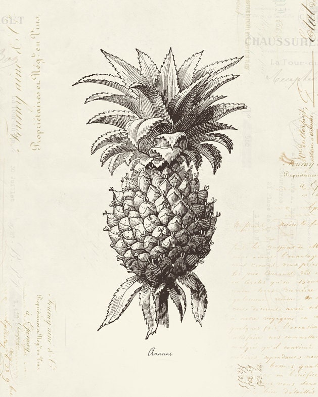 Vintage Pineapple "ananas" on French Ephemera Print 8x10 Vintage ...
