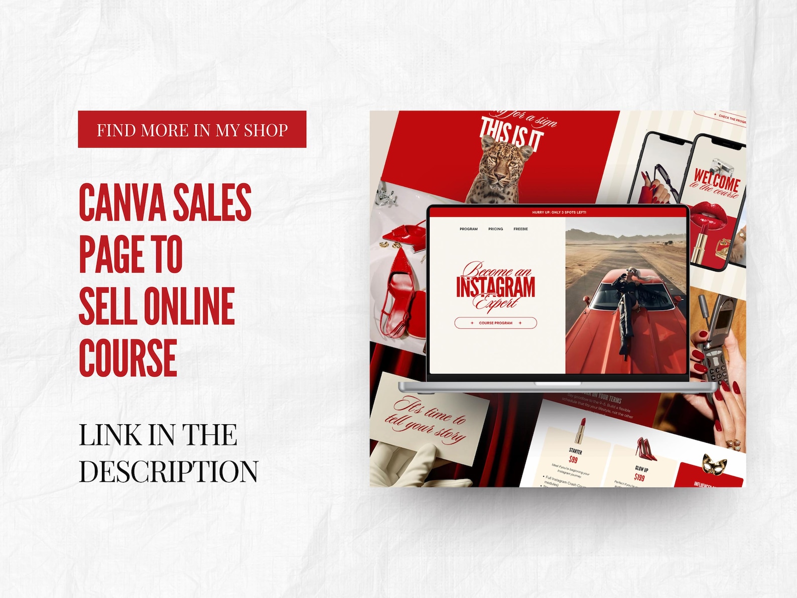 Stan Store Beacons Sales Page Canva Template for Coaches & Course ...