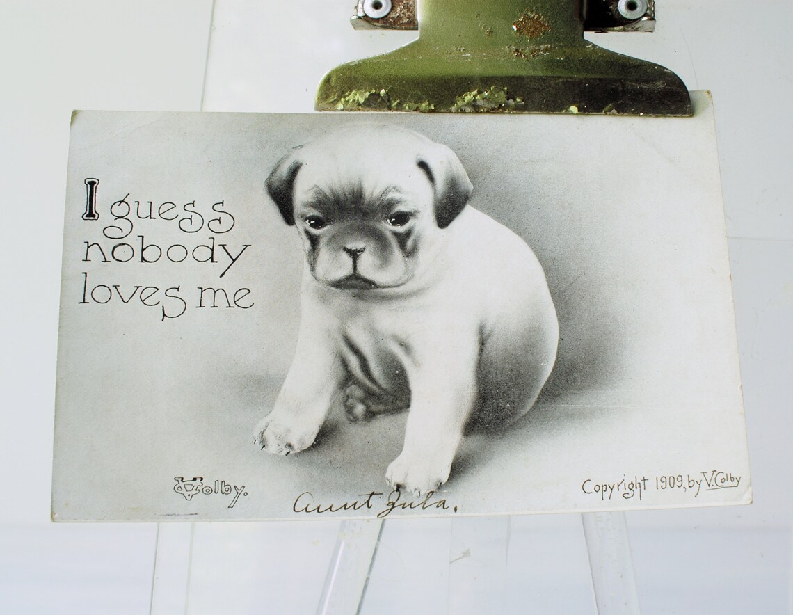 3 Antique Sad Puppy Postcards Vincent Colby Artist Signed - Etsy