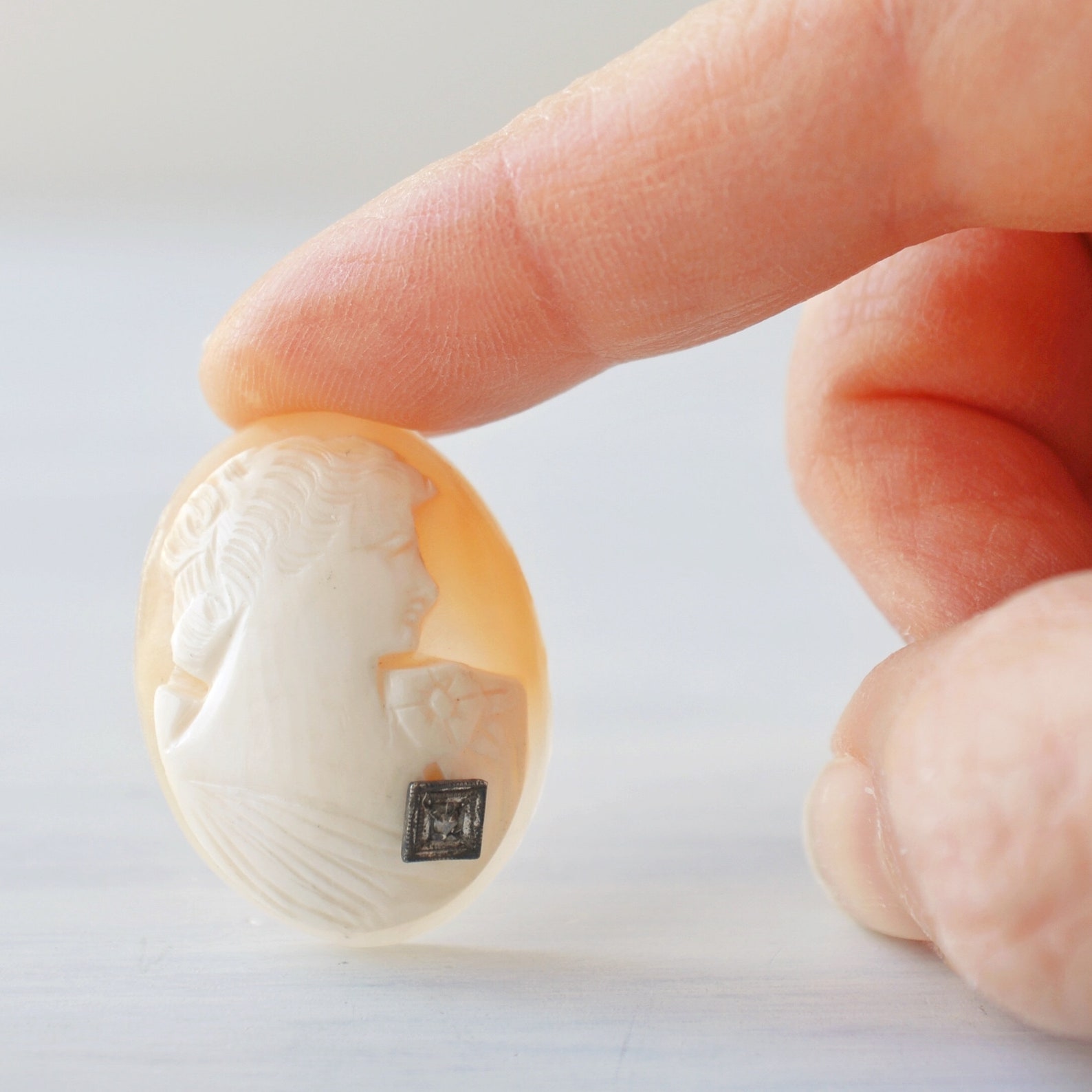 Vintage Carved Shell Cameo Unset With Silver Embellishment - Etsy