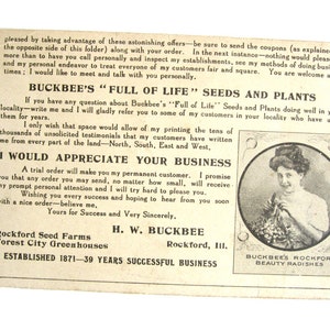 Vintage Trade Card Advertising Postcard, Buckbee's Giant Branching ...