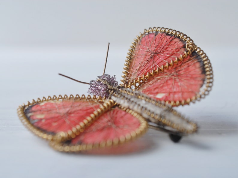 Vintage Wire Wrapped Butterfly Wing Gold Tone Brooch, Reddish Orange ...