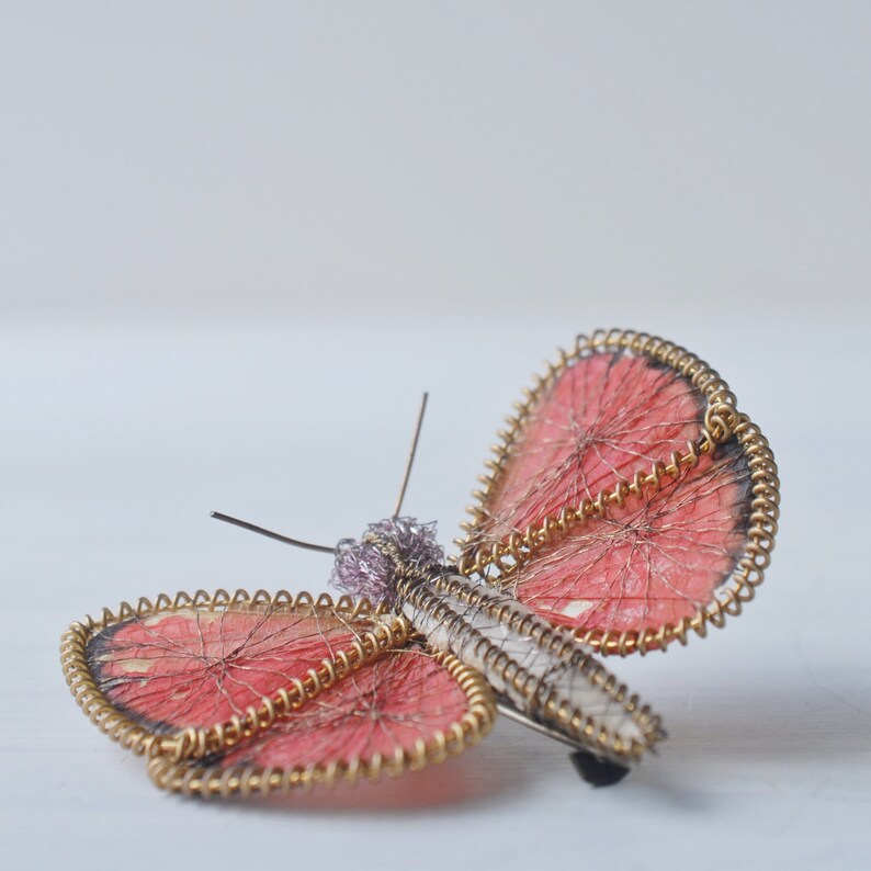Vintage Wire Wrapped Butterfly Wing Gold Tone Brooch, Reddish Orange ...