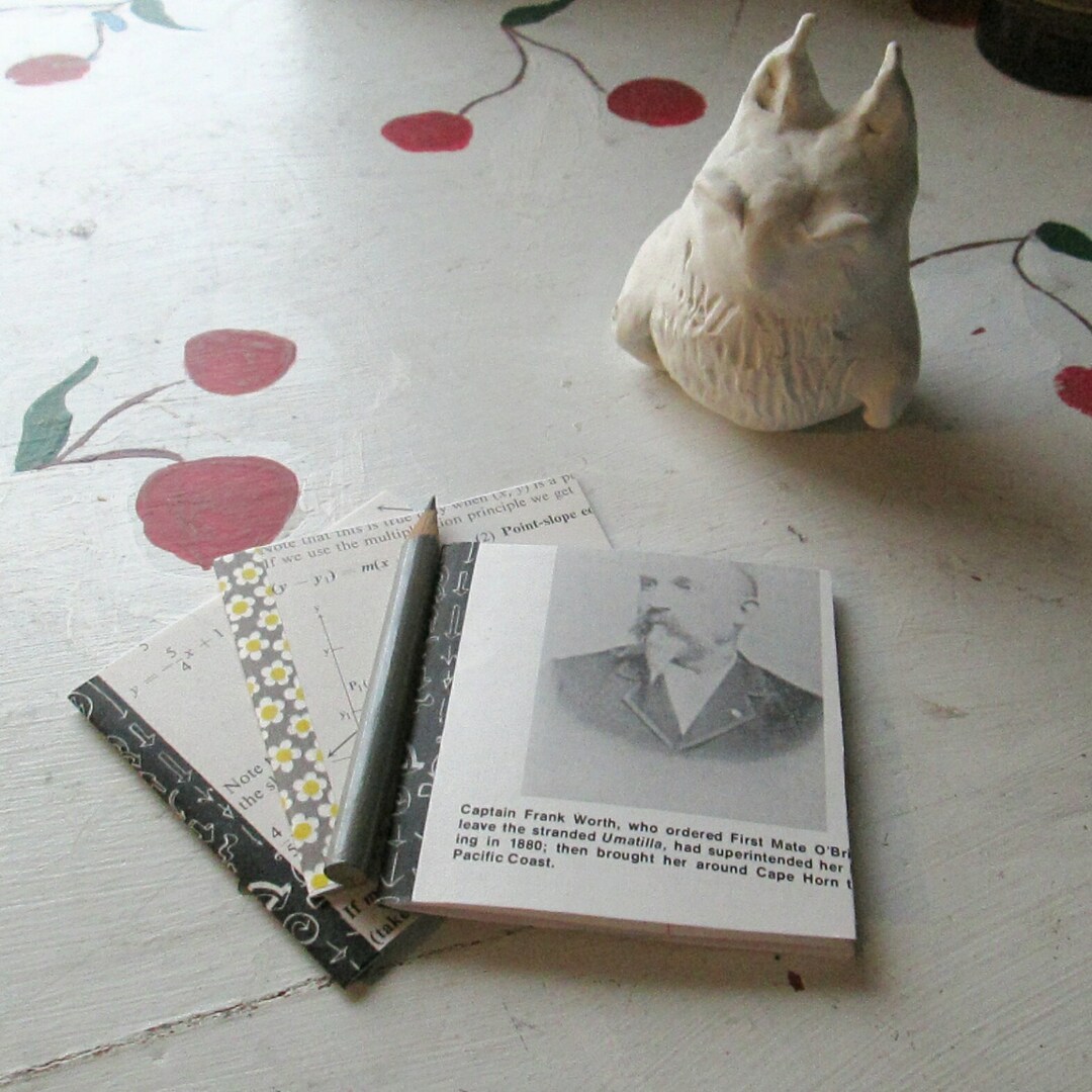 MINI JOURNAL SET Vintage Book Page Covers - Etsy