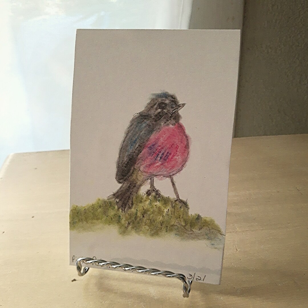 ART POSTCARD ROBIN (pink) Drawing Pastels Charcoal - Etsy