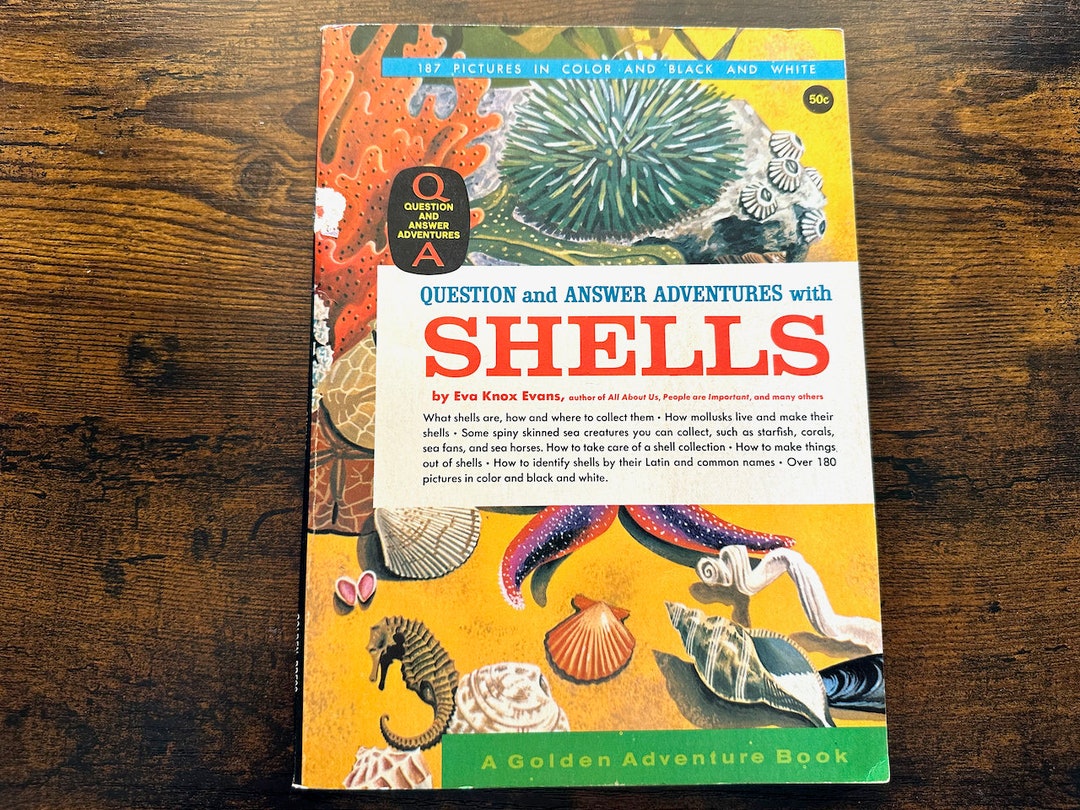 1963 Q-and-a Adventures With Shells Children's Book, Eva Knox Evans, A ...