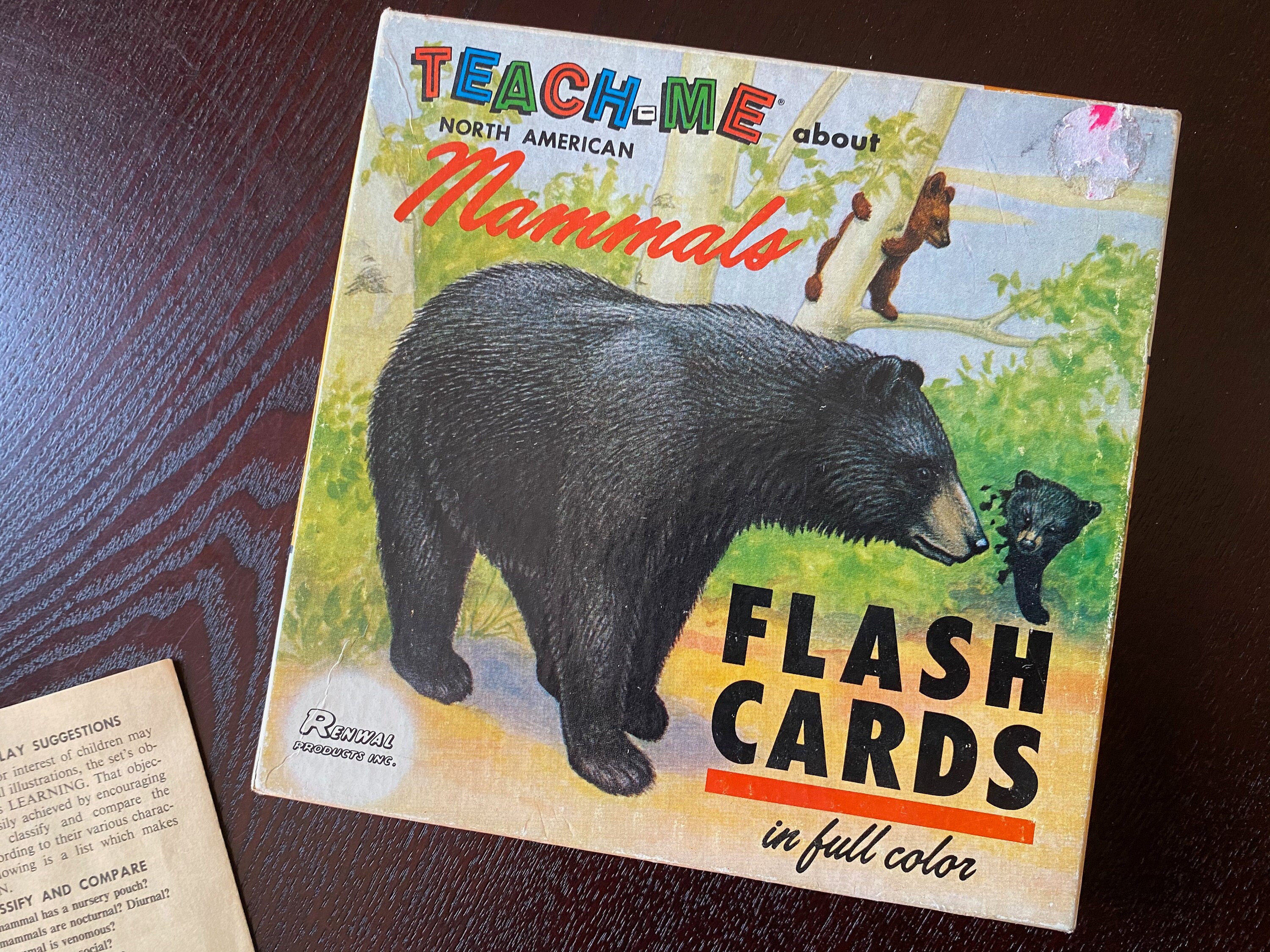 North American Mammals List