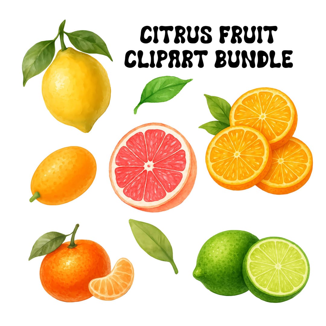 Watercolor Citrus Fruit Clipart | Lemon, Orange, Lime (digital PNG ...