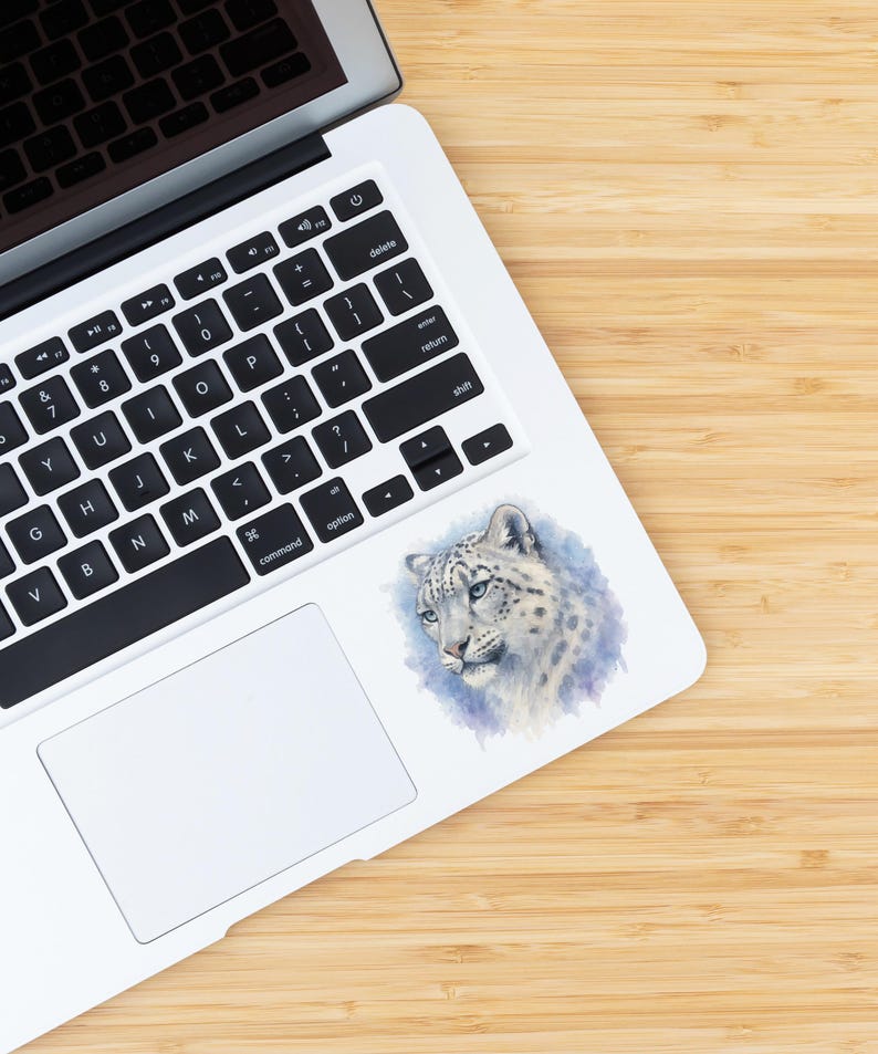 Watercolor Big Cat Bundle | Lion, Tiger, Panther & Snow Leopard Wall ...