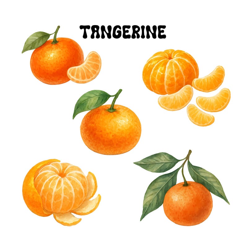 Watercolor Citrus Fruit Clipart Bundle | Lemon, Lime, Orange ...