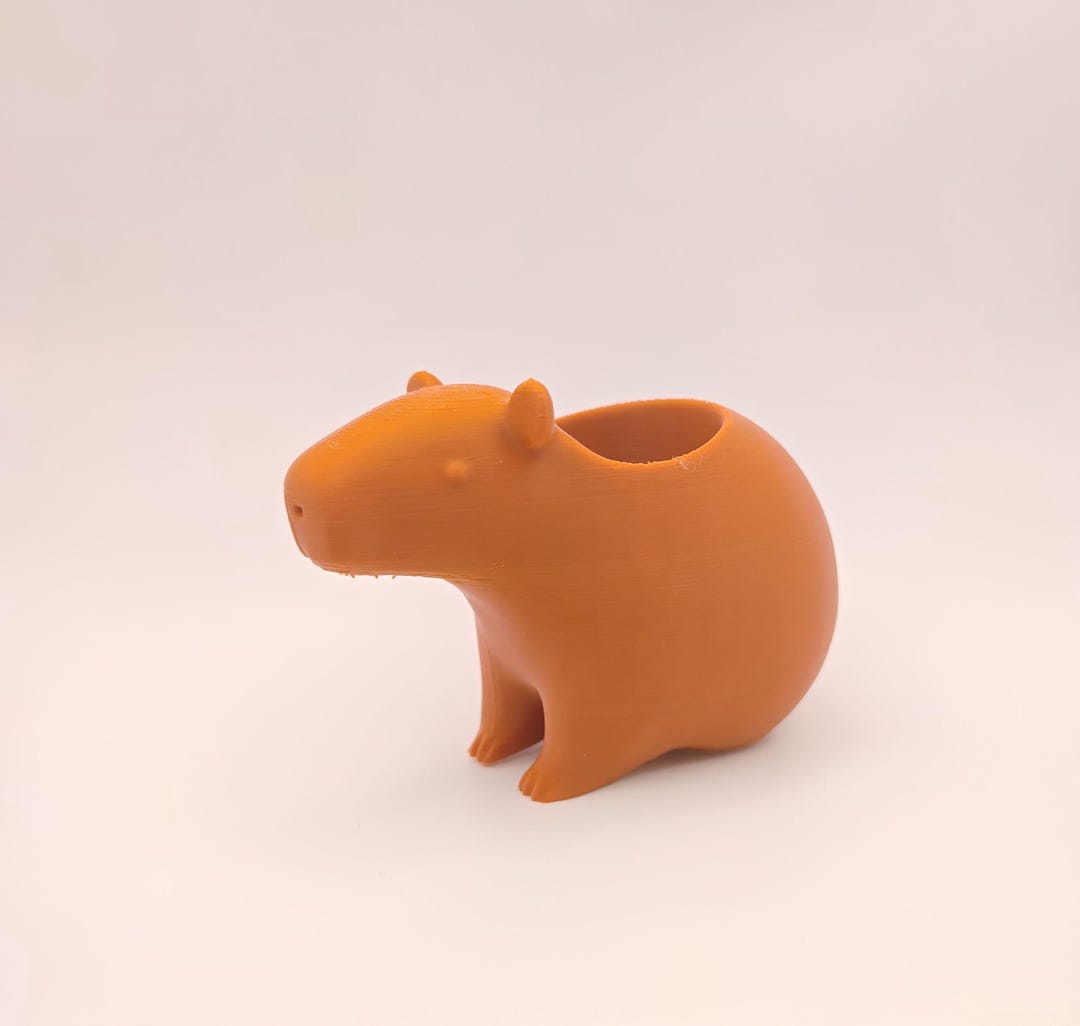 Capybara Succulent Planter – 3D Printed Animal Pot - Etsy