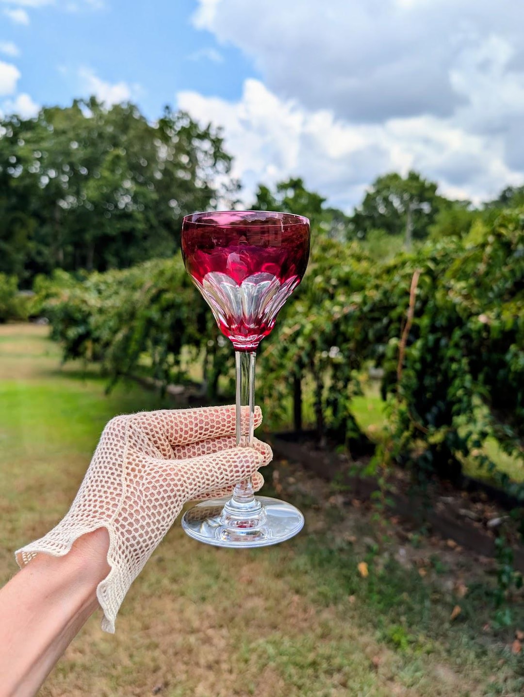 Set of 6 Val Saint Lambert Crystal Wine Glasses, Rose Rhine Wine Tilly ...