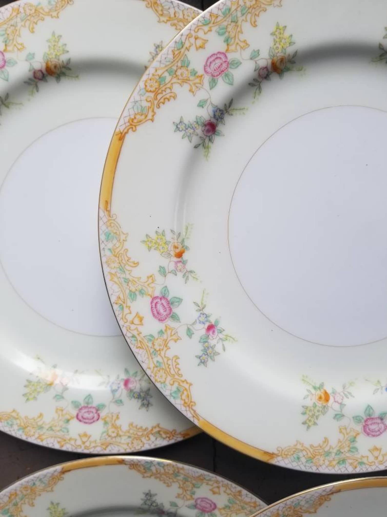 Antique Handpainted Dinner Plates - Etsy