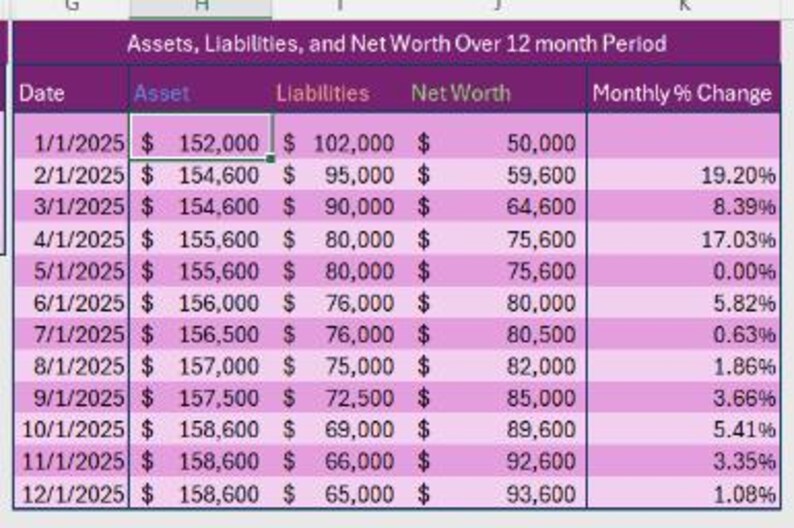 Net Worth Tracker | Excel Spreadsheet for Financial Planning & Monthly ...