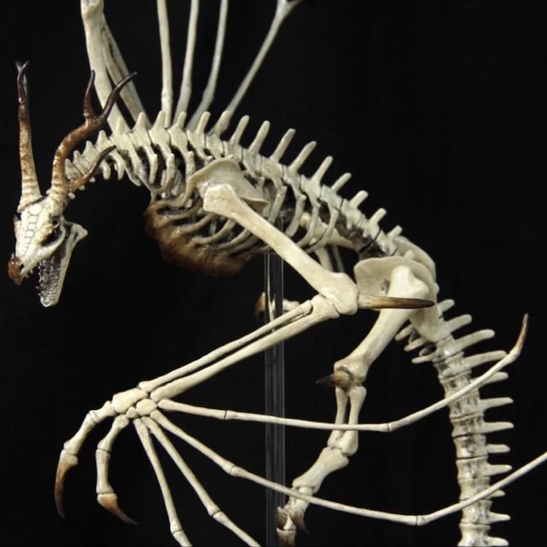 Andariel the Dragon Skeleton, Large Handmade Sculpture. Gothic Home ...